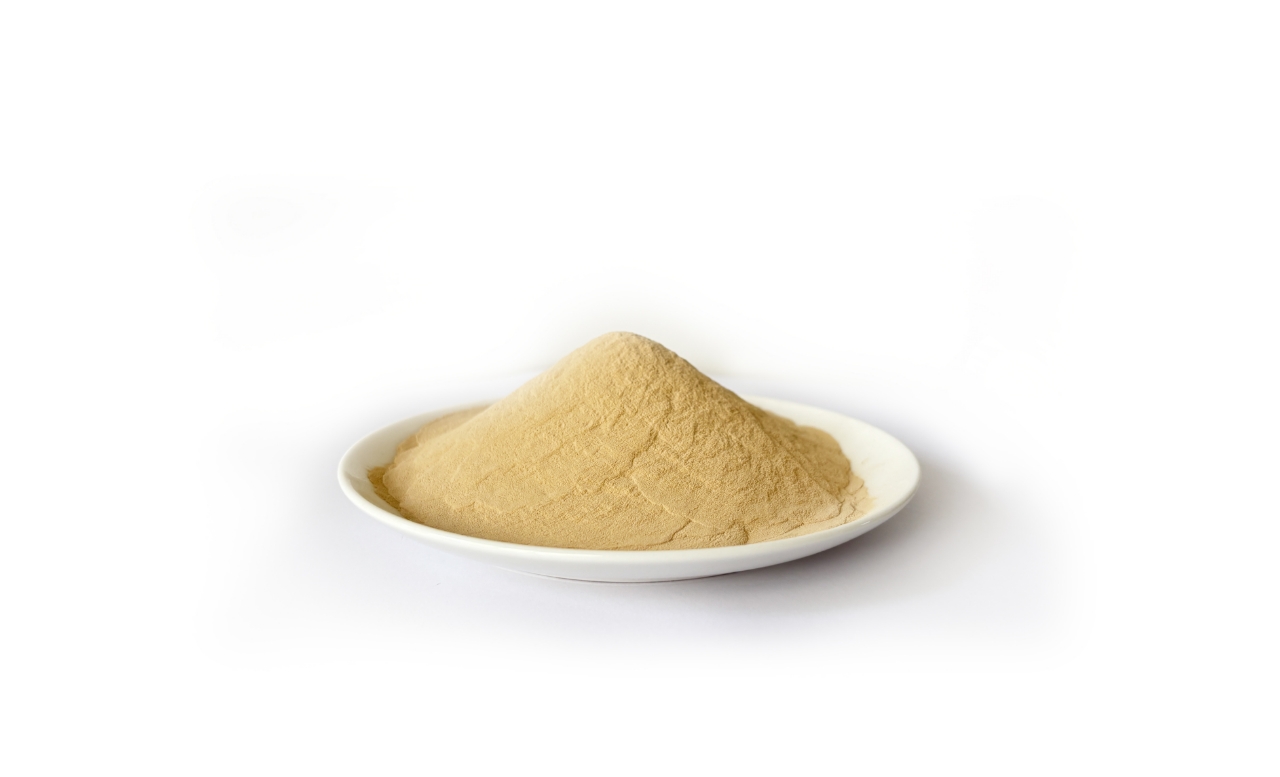 2024-Hunan QingChong New Materials Co., Ltd - ceramics Vietnam